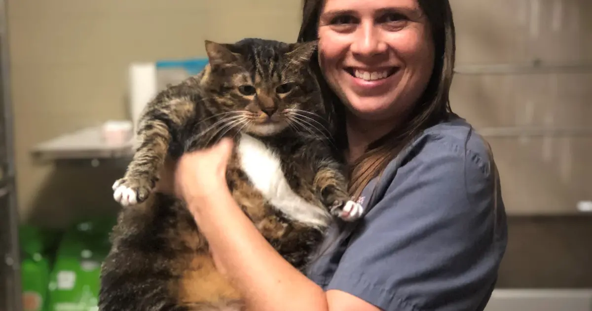 Courtney Gumienny | ASPCApro