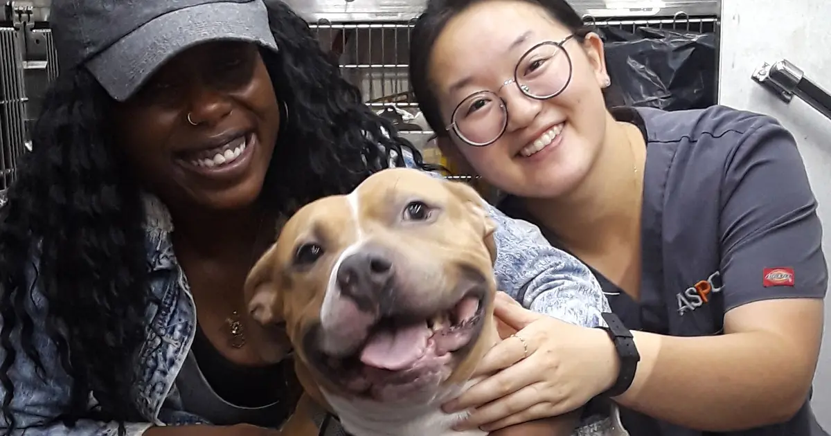 ASPCA® Culture, Values, and Diversity, Equity, and Inclusion Commitment ...