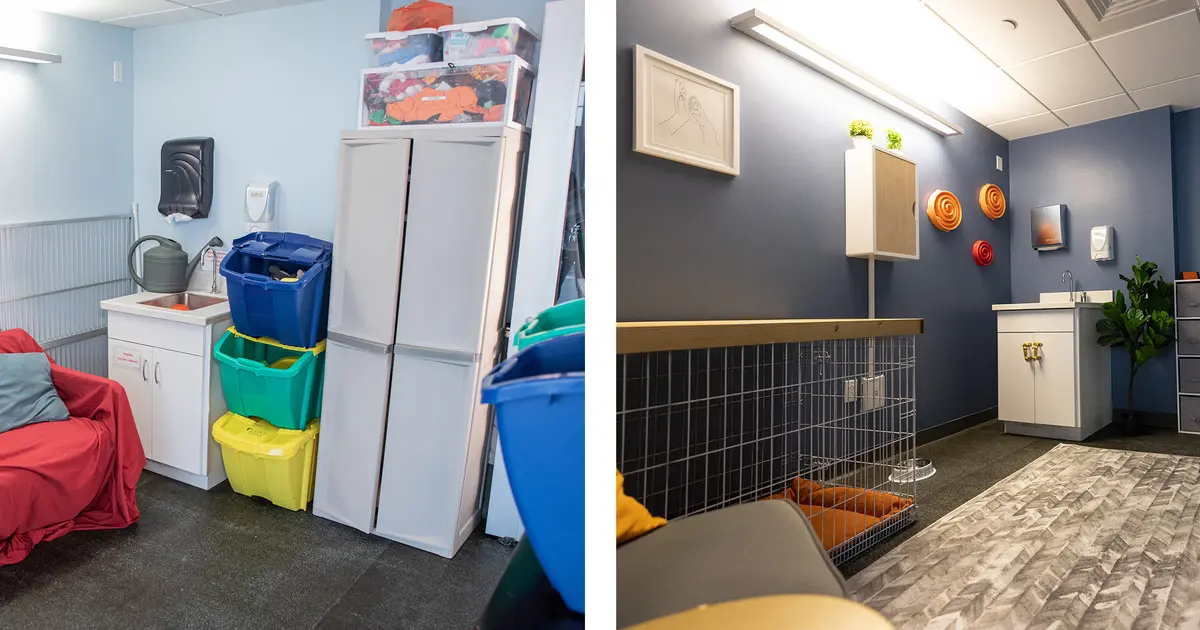10 Tips to Make the Most of Real-Life Rooms | ASPCApro