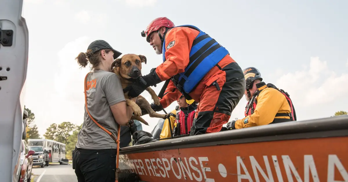 Customizable Emergency Response Plan for Animal Shelters | ASPCApro