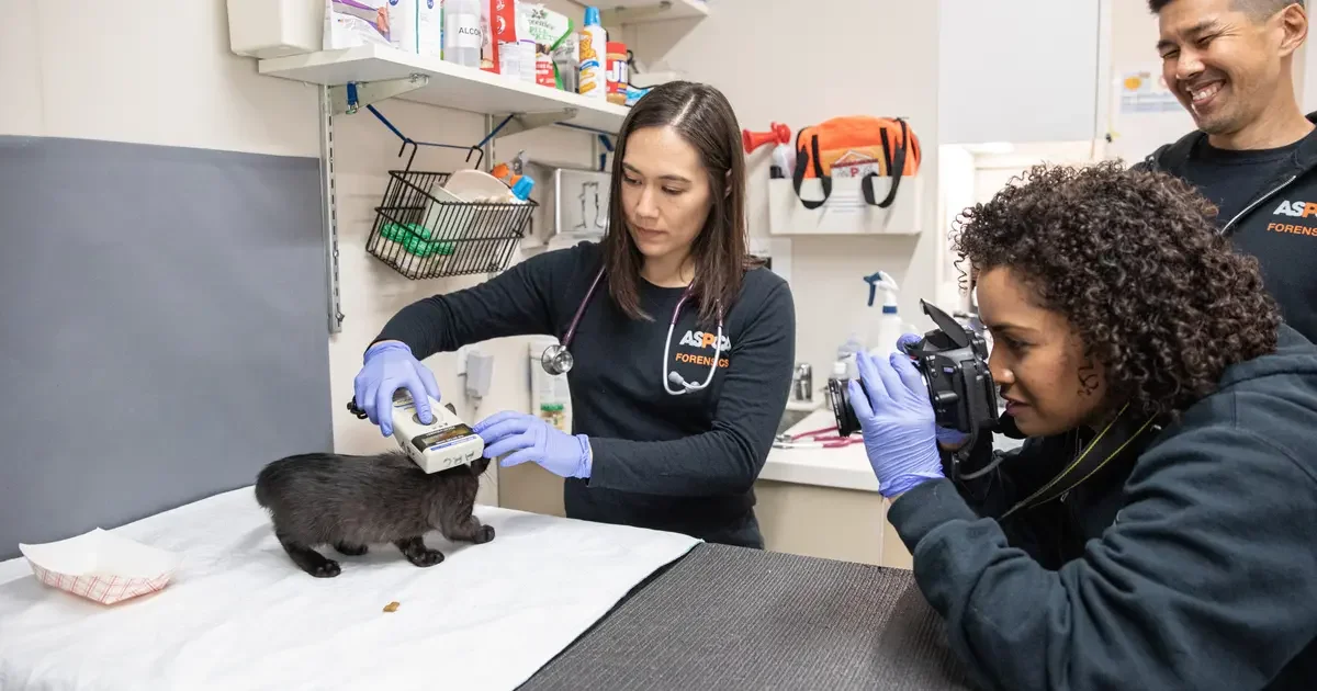 ASPCA NYC Forensic Sciences Externship | ASPCApro