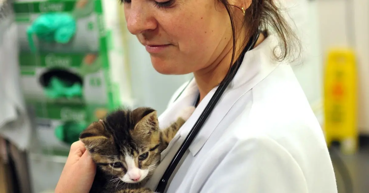 ASPCA Poison Control Overview of Common Toxidromes and Their Management ...