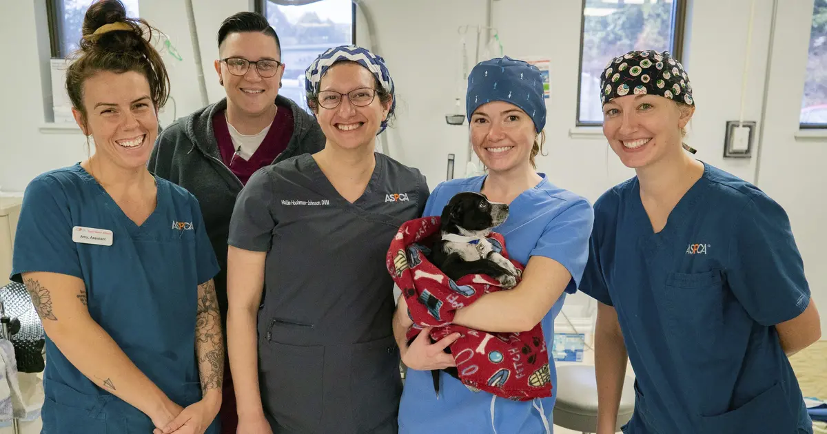 A Pup Named Pumpernickel is ASPCA Spay/Neuter Alliance’s 500,000th ...