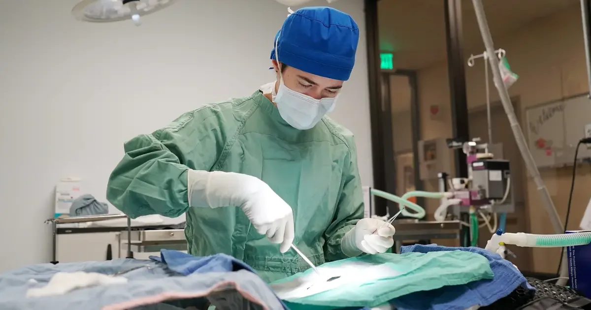 Spay/Neuter Surgery for Female Dogs | ASPCApro