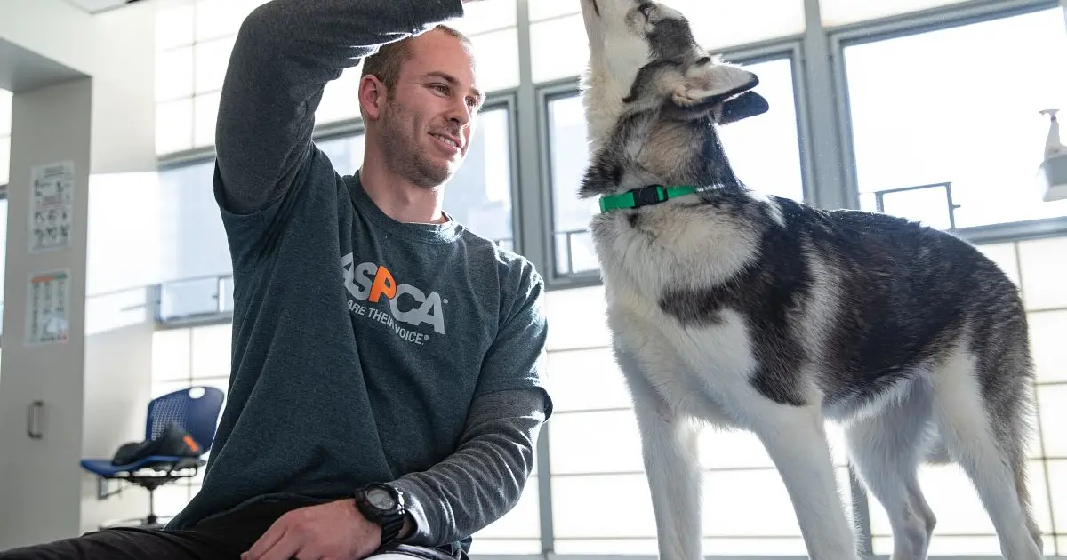 ASPCA Learn: Supporting Animal Welfare Professionals Through Enhanced ...