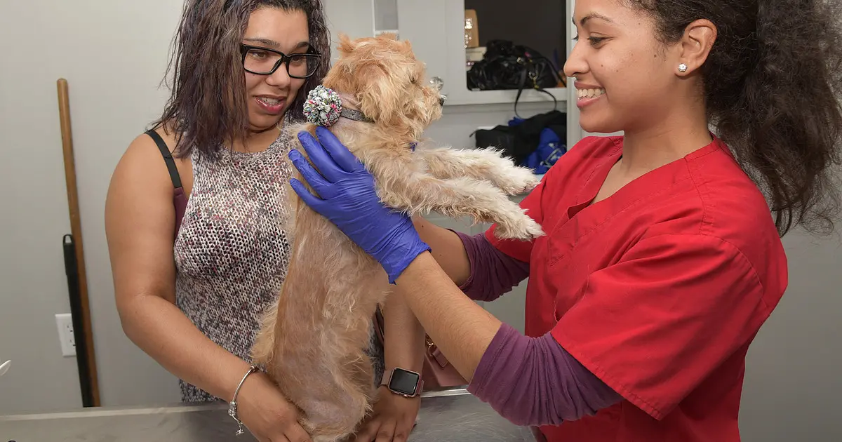 Shelter Medicine Programs and Services | ASPCApro