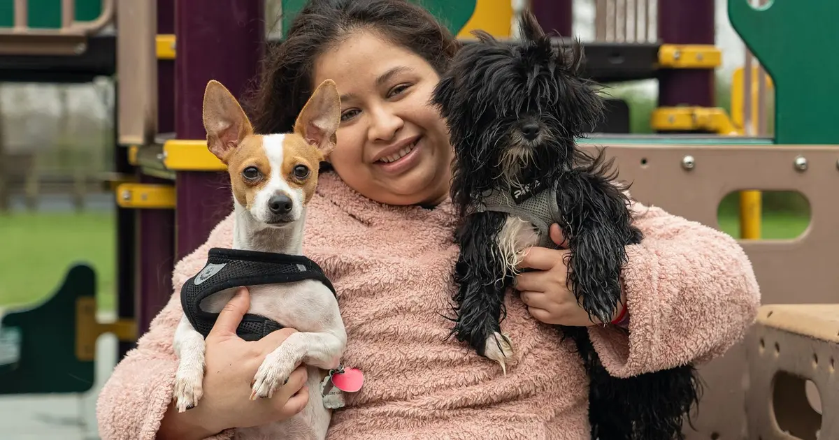 Matchmaking Made Easy: Conversational, Nonjudgmental Adoption Counseling Tips & Language Guide ...