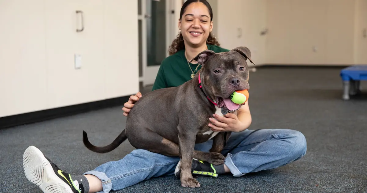 Animal Shelter Essential Resources | ASPCApro