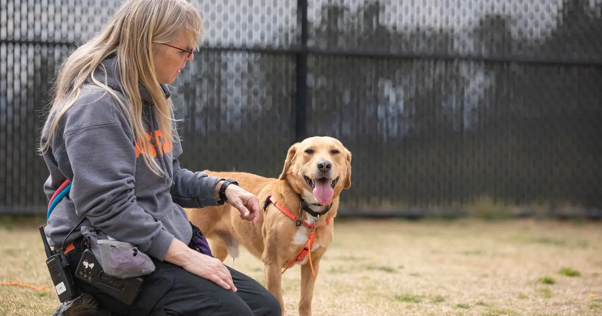 Animal Behavior Pathway Resources | ASPCApro