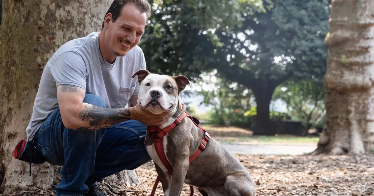 Effective Tips to Boost Adoptions: Reduce Barriers & Improve Experience ...