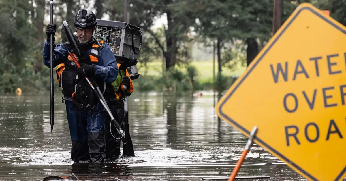 2024 ASPCA Hurricane Response & Relief Grants Initiative | ASPCApro