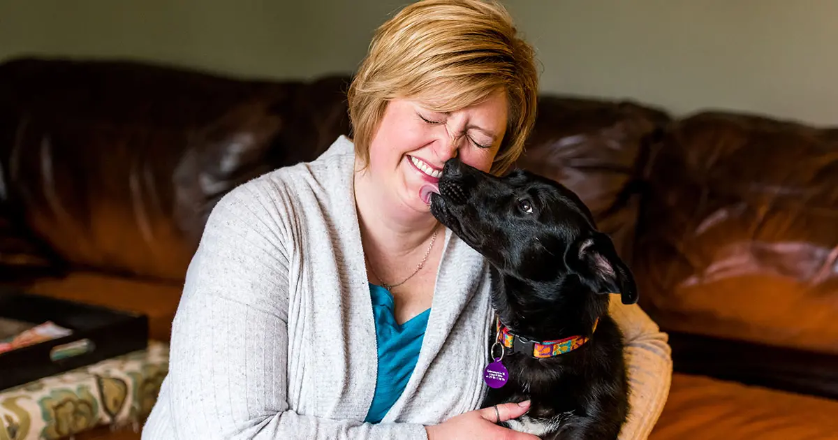 Foster Animal Biography Sheet | ASPCApro