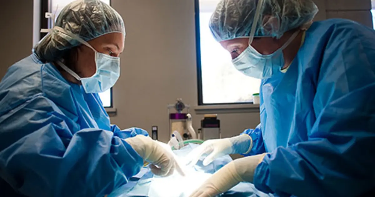 Spay/Neuter Surgical Complications | ASPCApro