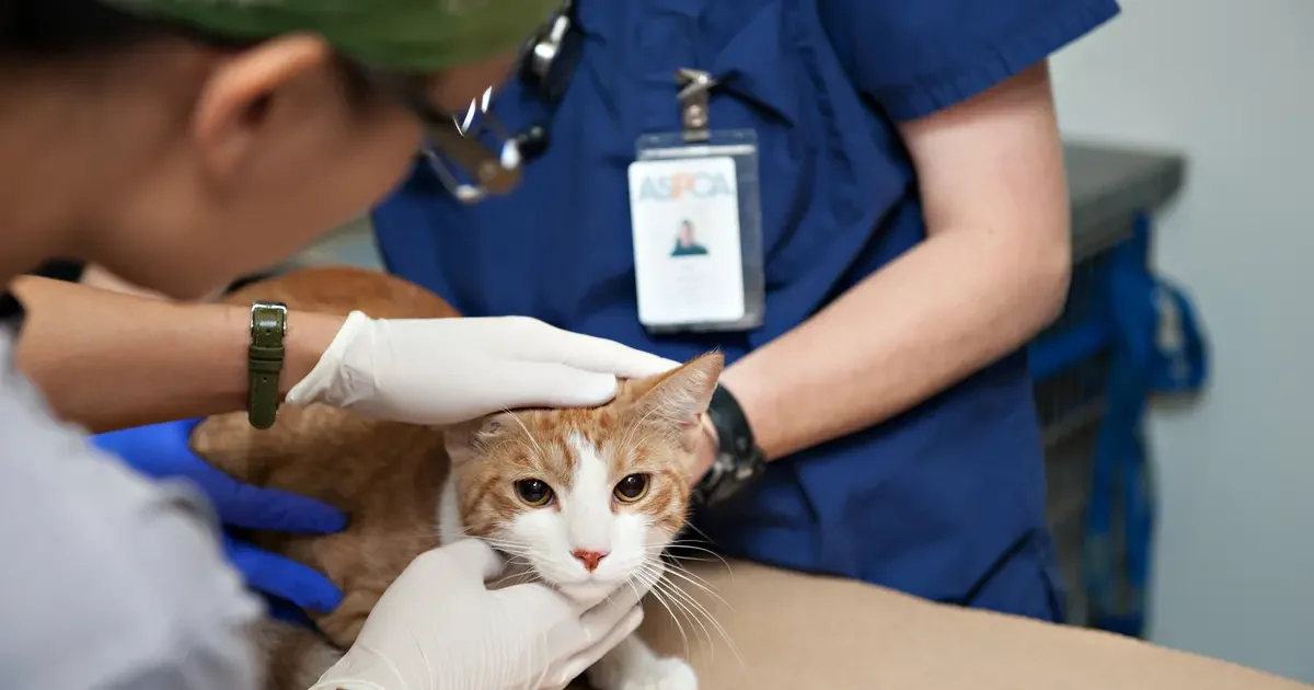 List of State Veterinary Boards | ASPCApro