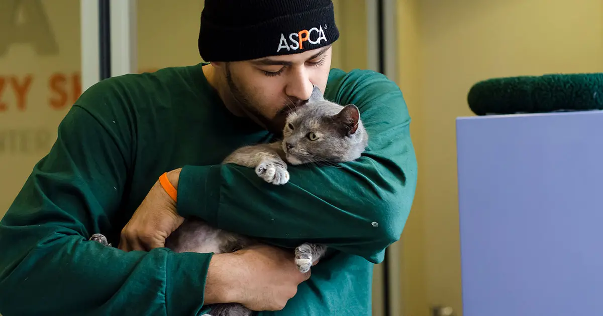 Holistic Animal Care with the Integrated Care Academy | ASPCApro