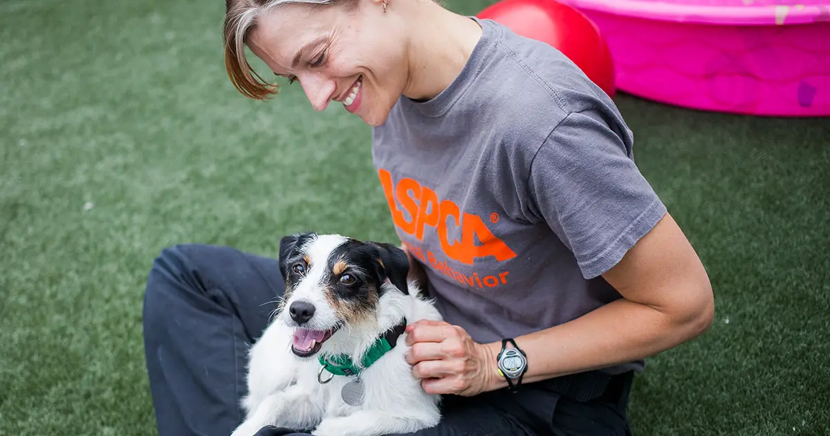 ASPCA Behavioral Rehabilitation Center | ASPCApro