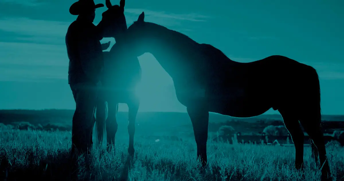 ASPCA Increases Nationwide Equine Adoption Efforts with Addition of The ...