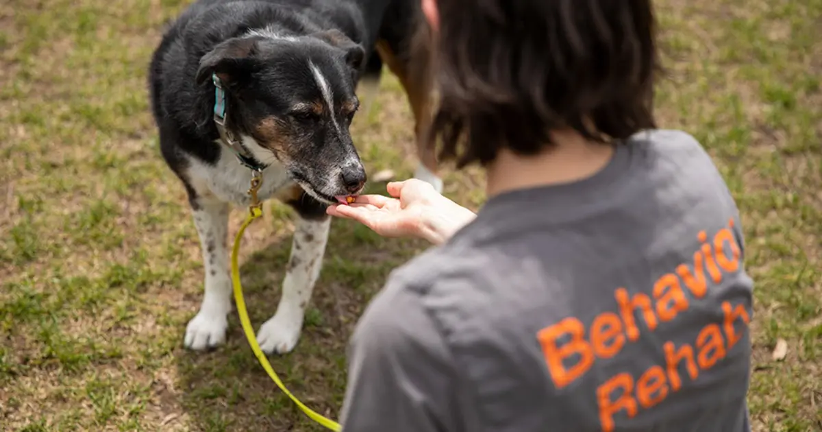 Animal Behavior Research | ASPCApro