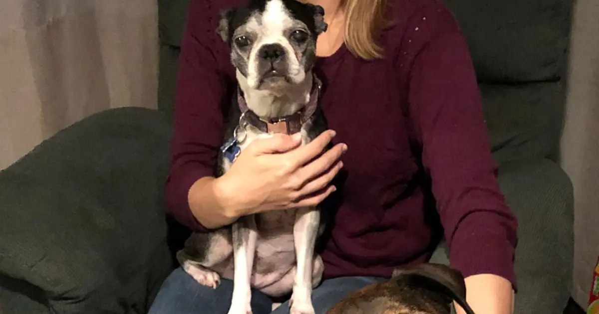 Dr. Michelle Carlino | ASPCApro