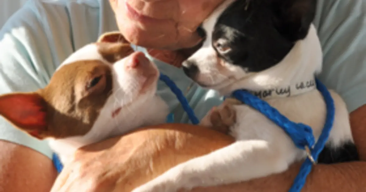 Strengthening Pet Retention Through Safety Net Programs | ASPCApro