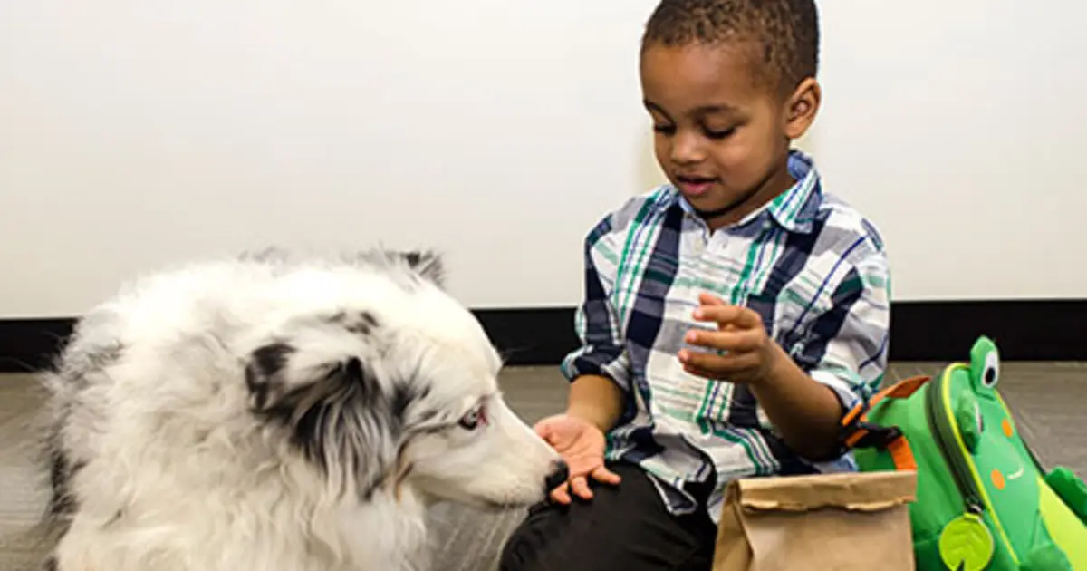 Back-to-School Safety Tips for Pets | ASPCApro