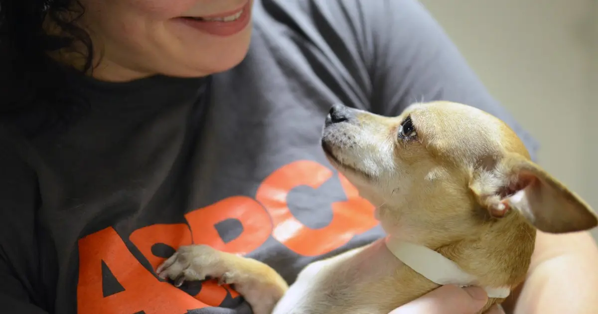 Policies and Positions of the ASPCA® | ASPCApro