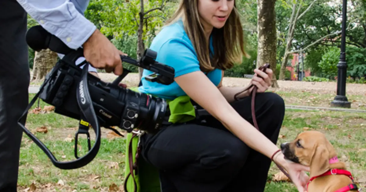 10 Tips for Shooting Great Video of Your Shelter Animals | ASPCApro