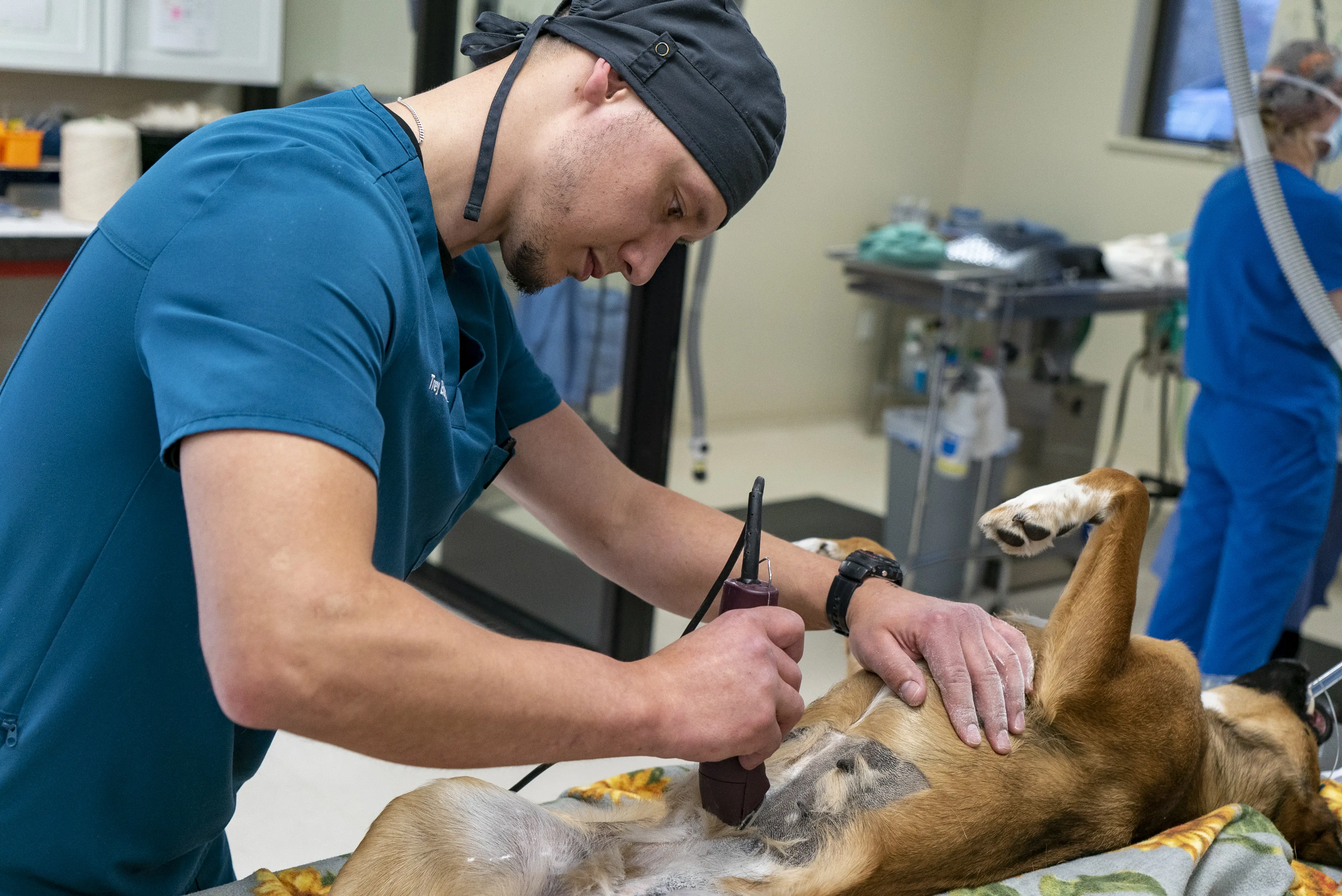Veterinary Staff Onboarding Courses | ASPCApro